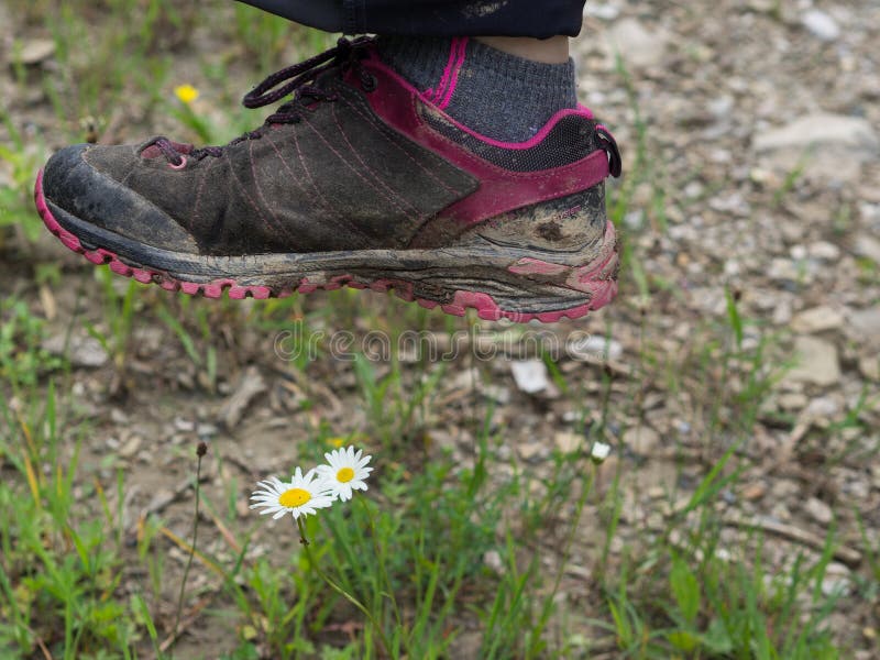129 Shoe Treading Stock Photos - Free & Royalty-Free Stock Photos from ...