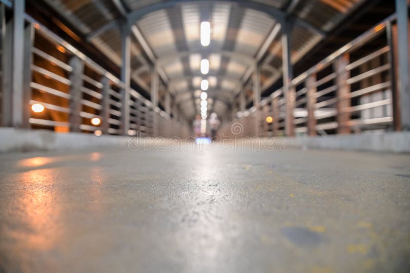Foot Walk Path Way Tunnel at Night Time Stock Photo - Image of walkway ...