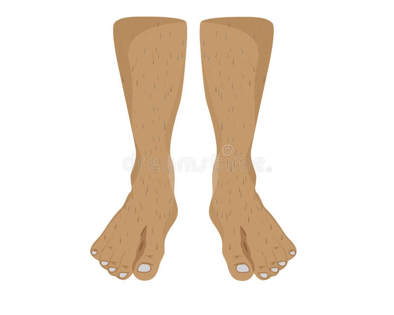 Foot stock vector. Illustration of foot, abstract, skin - 77956968