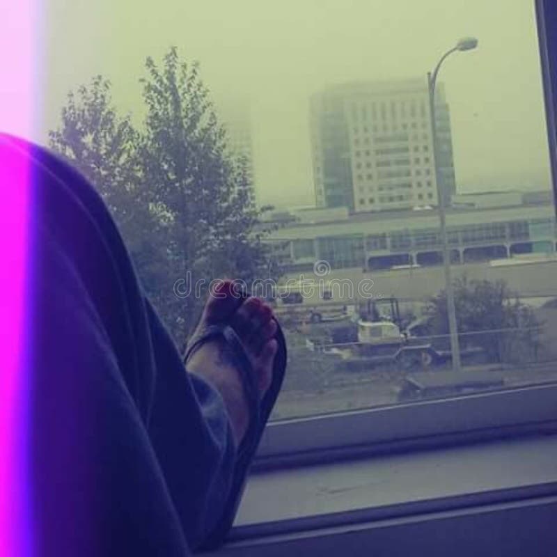 Foot in the window stock image. Image of trees, buildings - 162447389