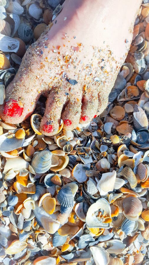 The Foot of a Young Lady in the Shells on the Beach Stock Image - Image ...