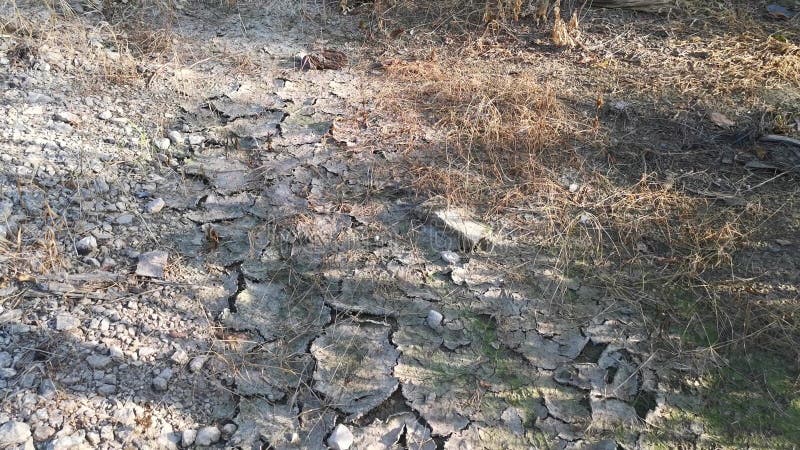 Dried Surface Crack on the Surface of the Earth. Stock Footage - Video ...
