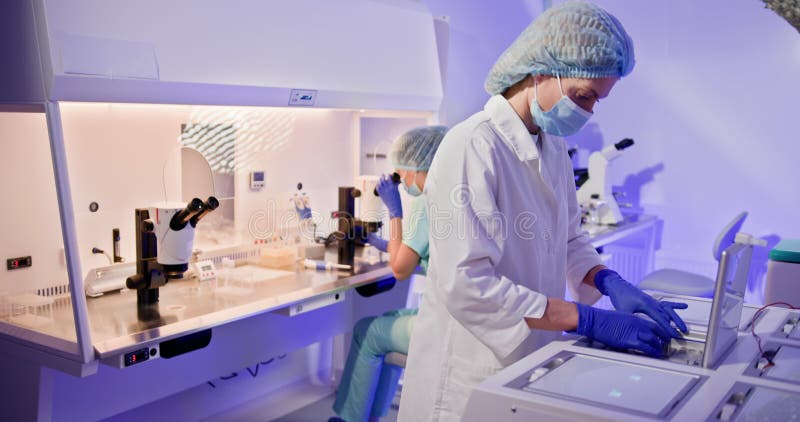 Footage of a Female Scientist Putting a Petri Dish with Genetically ...