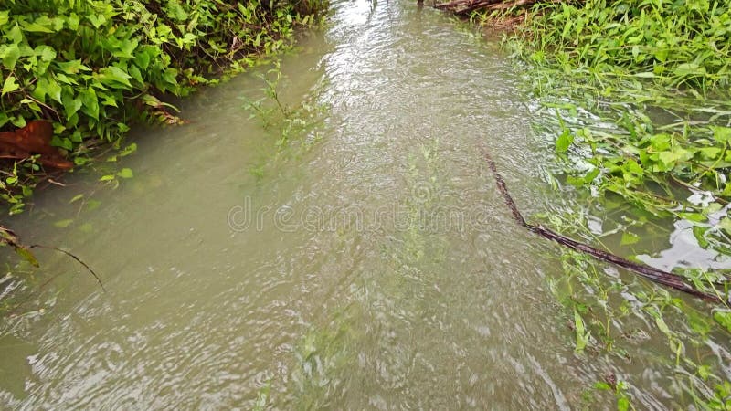Flowing Side Drain Water Along the Pathway after the Heavy Rain. Stock ...