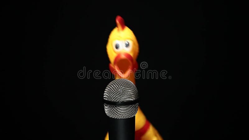Footage of Microphone Rubber Chicken Dark Background Stock Footage ...