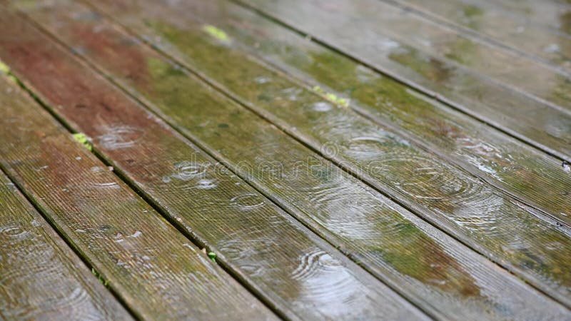 Raindrops Falling on Sloping Rooftop with Plants in Background Stock ...