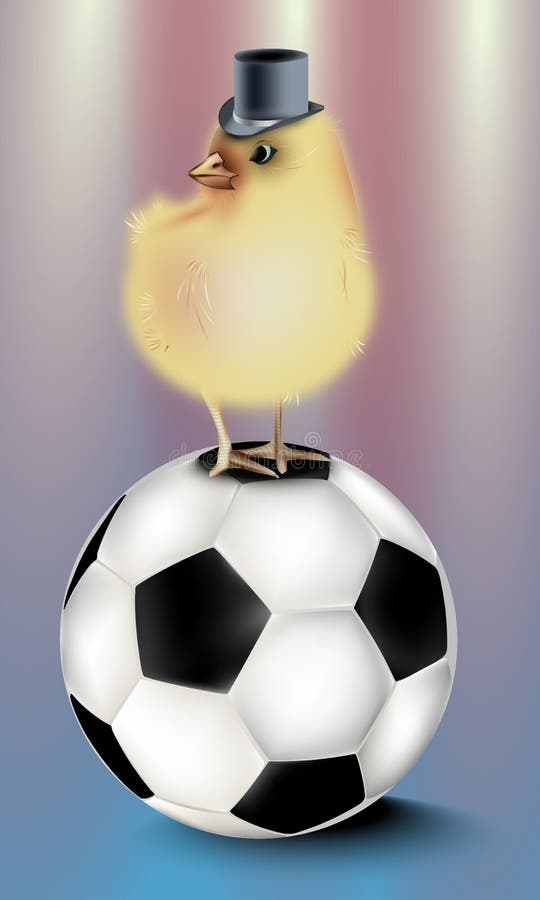 Chicken Football Stock Illustrations – 653 Chicken Football Stock ...