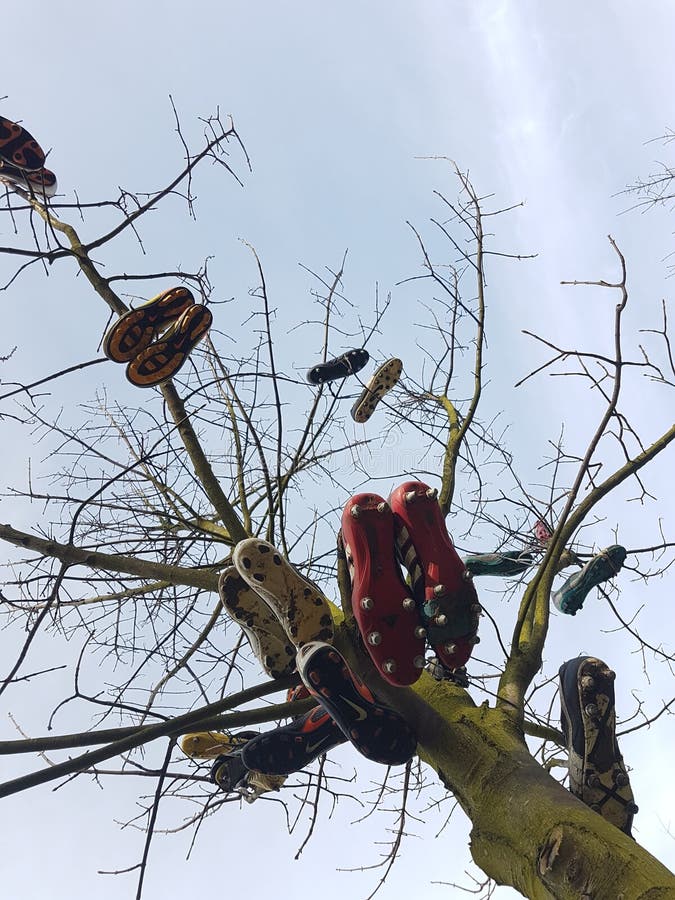 6,363 Football Boots Stock Photos - Free & Royalty-Free Stock Photos ...