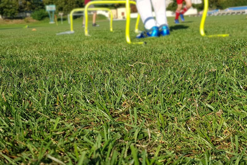 Football Equipment Football Field Training View from Below Stock Photo ...
