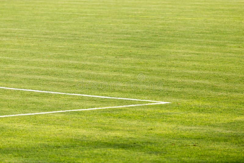 Football field stock photo. Image of soccerball, field - 89397790