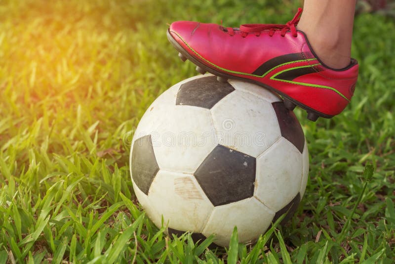 Football and Foot on the Green Grass. Stock Image - Image of foot ...