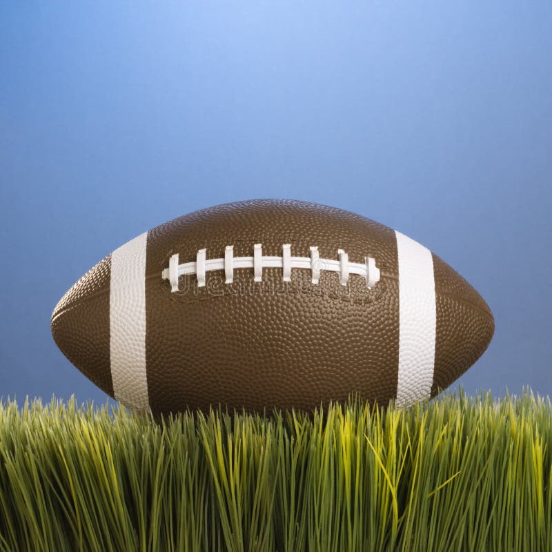 Football in grass. stock photo. Image of color, football - 2052160