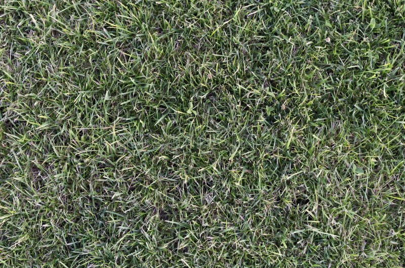 Football Grass Field from Top Stock Photo - Image of shot, grass: 66076044