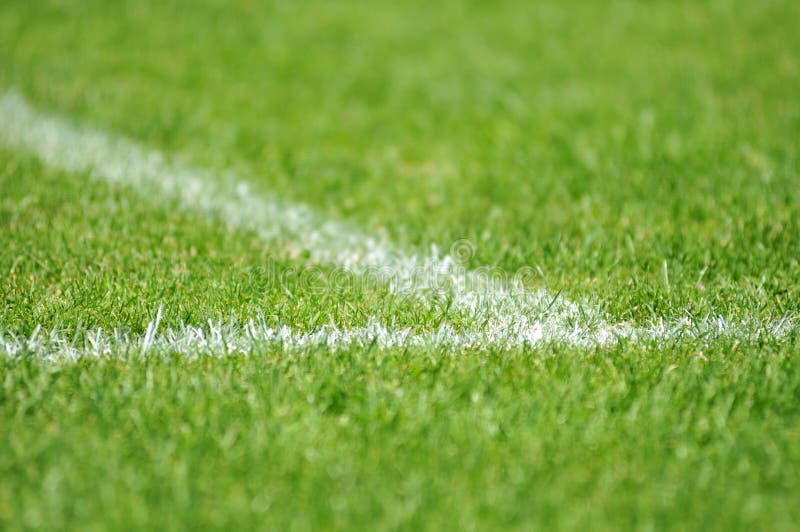 Football ground stock image. Image of formal, turf, nature - 10189429
