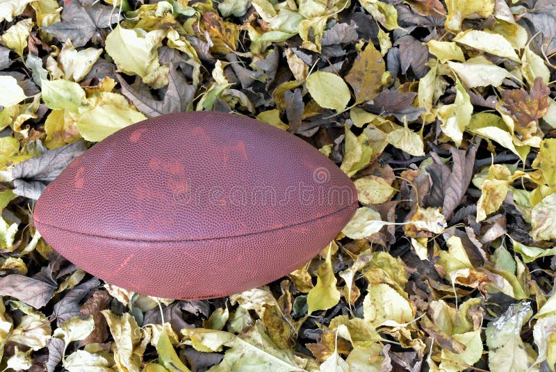 Football with the Leaves in Background Stock Image - Image of sports ...