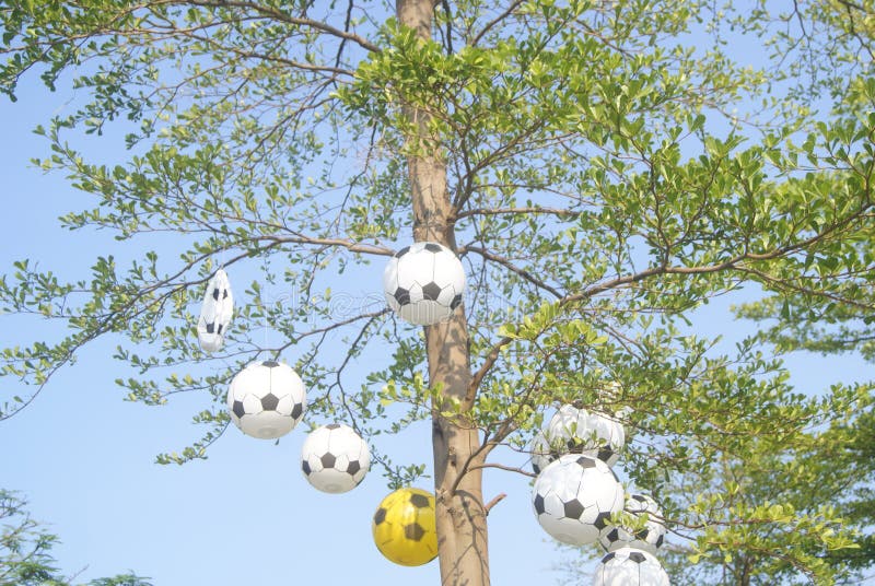 Football Model Hanging on the Tree Stock Image - Image of world ...