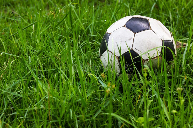 Football old grass dew. stock photo. Image of goal, nature - 73614864