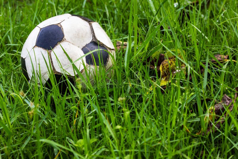 Football old grass dew. stock photo. Image of goal, nature - 73614864