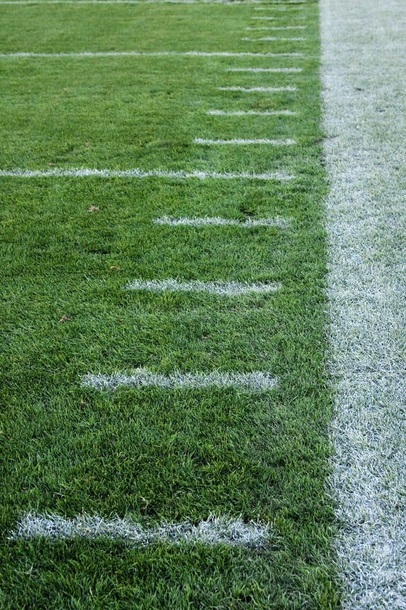 Football Sideline stock photo. Image of lines, turf, natural - 12210834