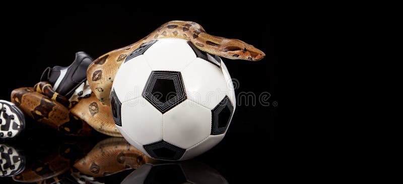 Football snake stock image. Image of soccer, world, exotic - 20969661