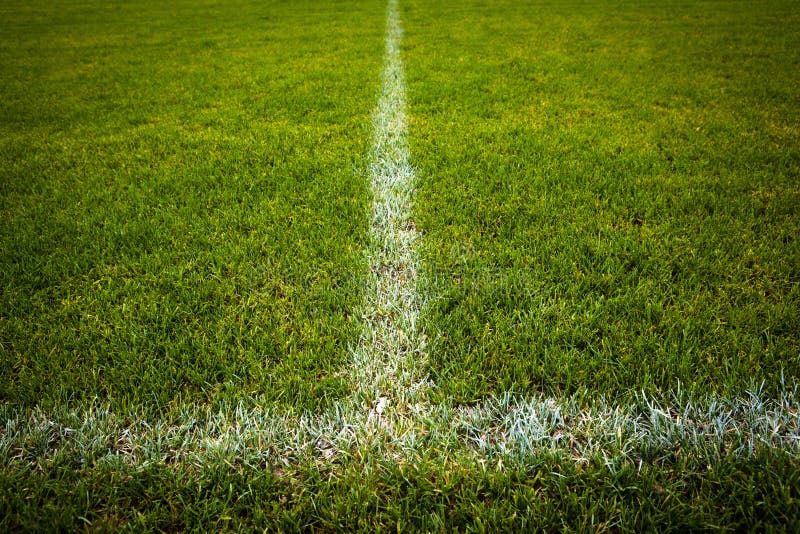 Texture football pitch stock photo. Image of grass, pattern - 14690078