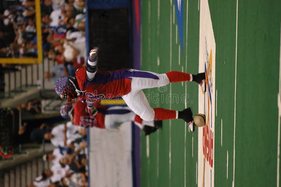 Football Touchdown Pose Stock Photos - Free & Royalty-Free Stock Photos ...