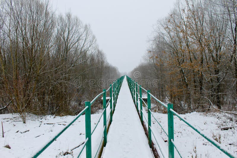 Footbridge Across River To the Forest Stock Photo - Image of cold, snow ...