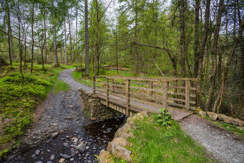 Footbridge Over a Stream in the Lake District Stock Photo - Image of ...