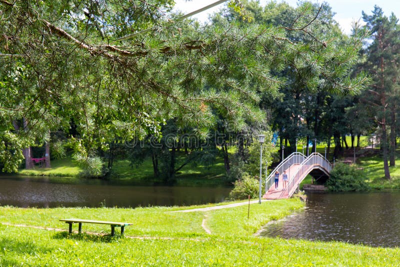 Footbridge in the park stock photo. Image of tree, pond - 60204452
