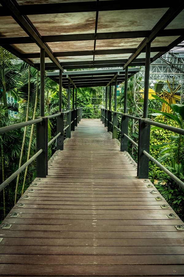 Footbridge in the park stock photo. Image of nature, perspective - 94880312