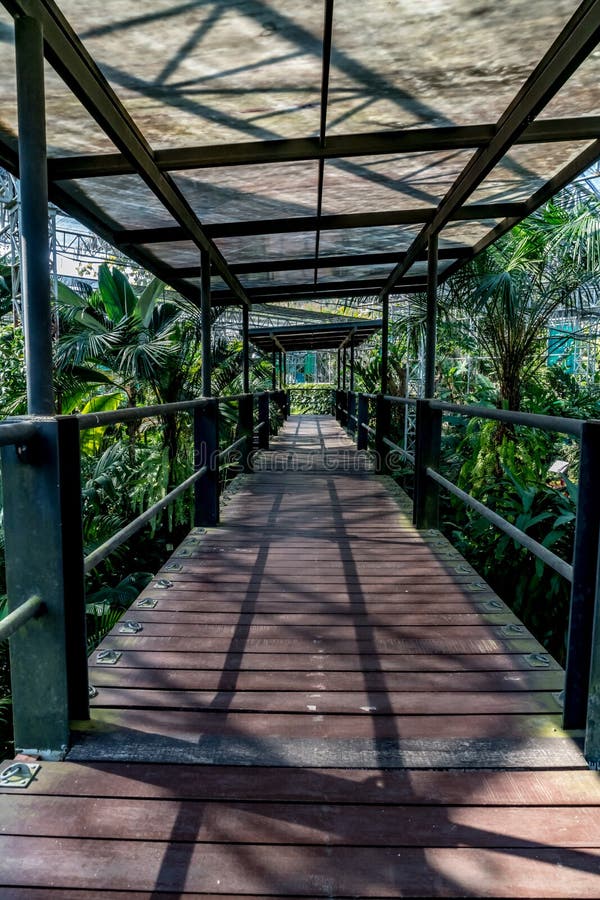 Footbridge in the park stock photo. Image of view, long - 108012300