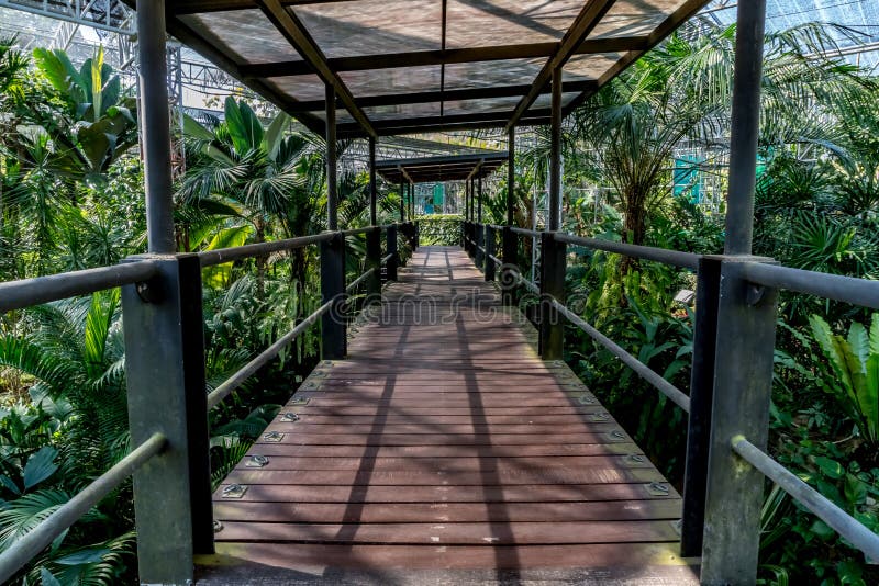 Footbridge in the park stock photo. Image of green, perspective - 109820050