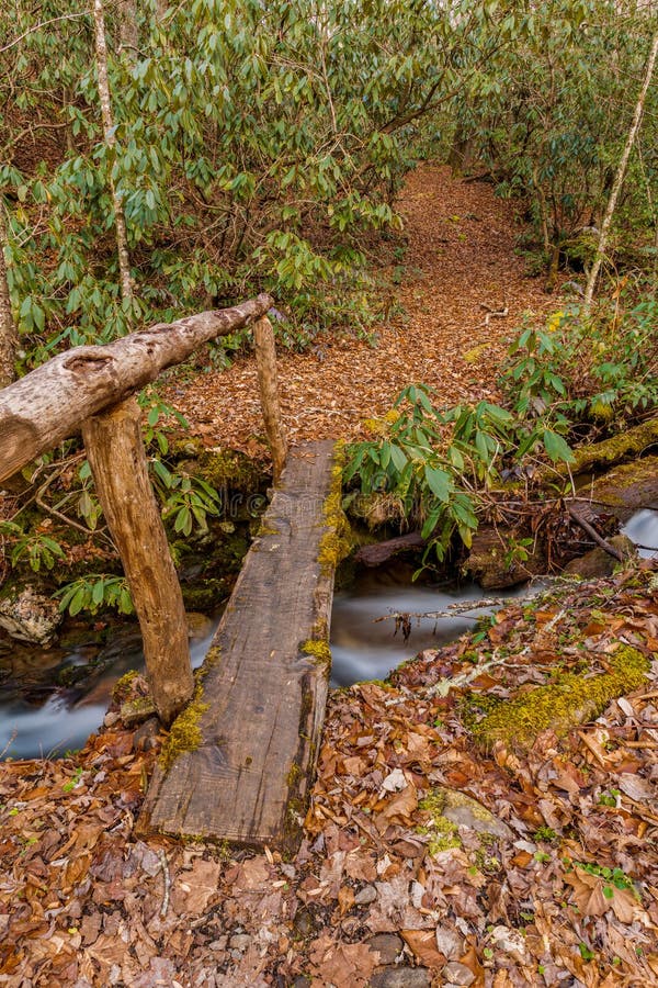 Footbridge and Path, Smokemont Stock Photo - Image of daytime ...