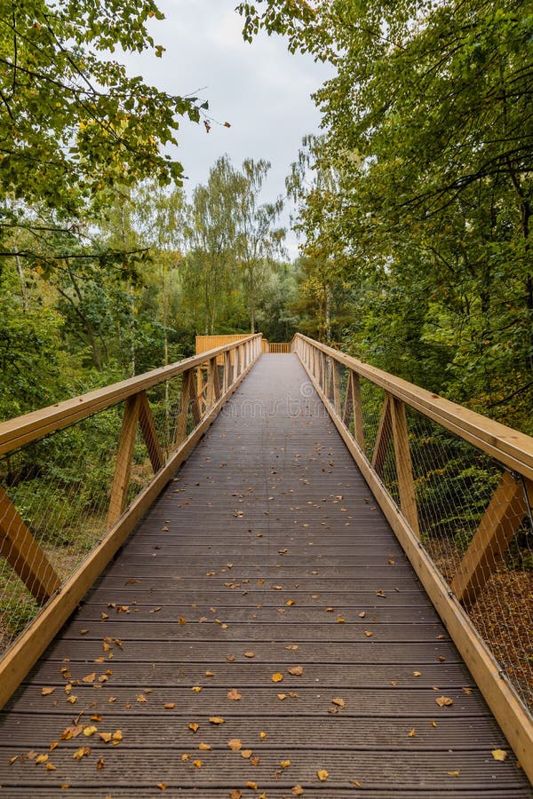 Footbridge among Trees Over Small Szklarka River Stock Image - Image of ...
