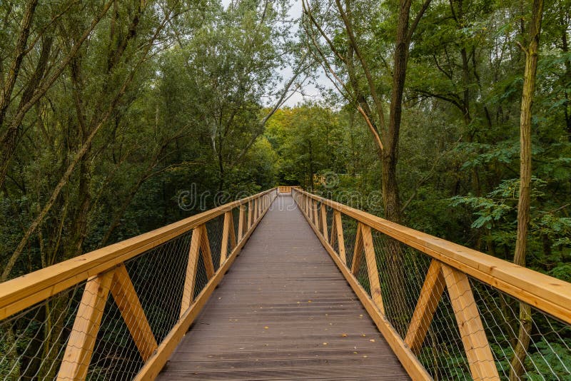 Footbridge among Trees Over Small Szklarka River Stock Photo - Image of ...