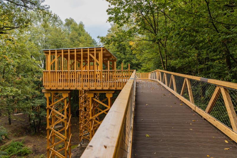 Footbridge among Trees Over Small Szklarka River Stock Photo - Image of ...