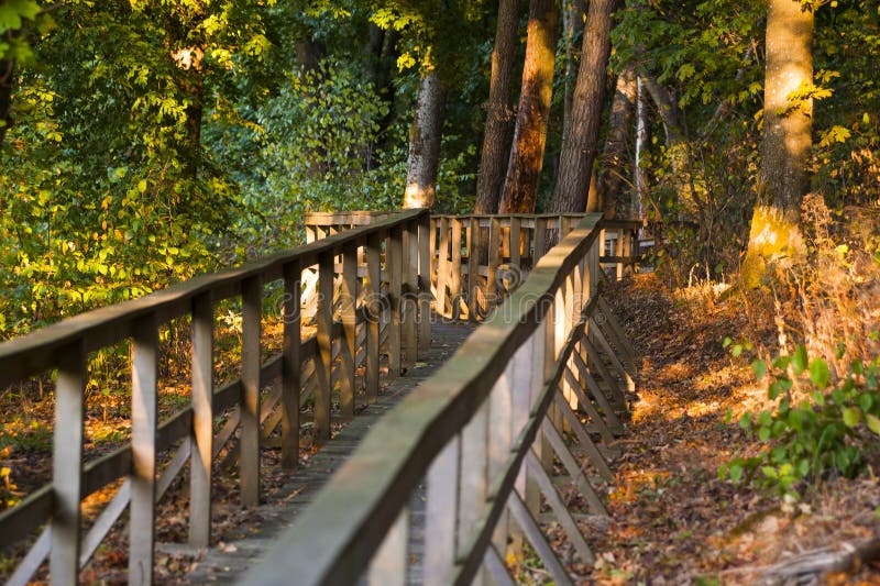 Footbridge stock photo. Image of summer, rural, blue - 63391252