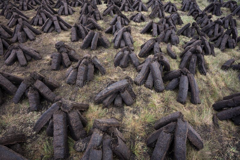 Footed turf in Ireland. stock image. Image of wood, wildlife - 258876937