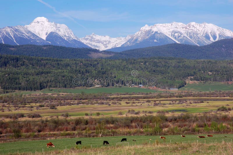 Foothill Ranch Picture. Image: 5415106