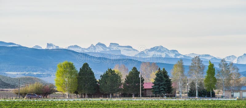 At the Foothills of Colorado Rockies Stock Photo - Image of wildflower ...