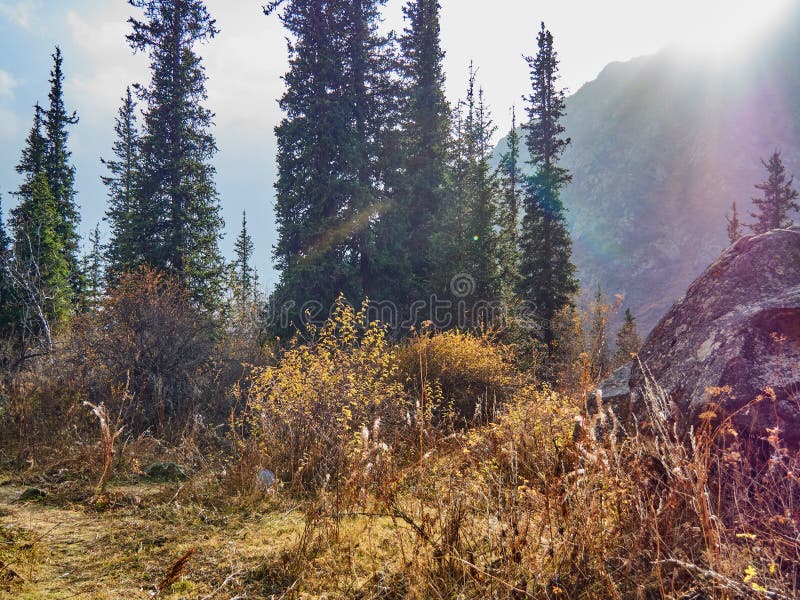 Foothills Covered with Forest, Lit by the Sun Stock Image - Image of ...