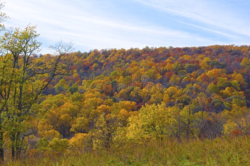 Foothills with Forest in Autumn Colors. Stock Photo - Image of trees ...