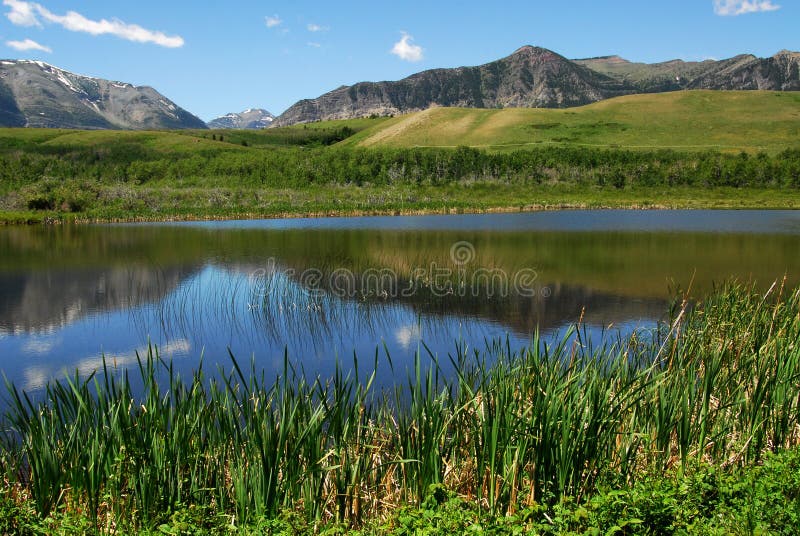 Foothills and lake stock image. Image of mountain, foothills - 5839353