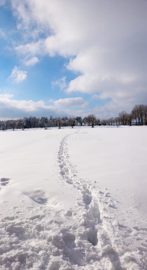 Foothpath Over Snowy Field, Vertical Format Stock Photo - Image of ...