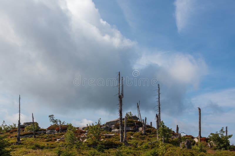 Foothpath on Sumava Mountain from Hill Plechy. Czech Landscape, Nature ...
