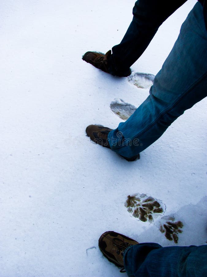 Footmarks on new snow stock image. Image of feet, making - 43180859