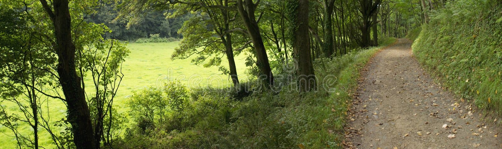 371,976 Footpath Stock Photos - Free & Royalty-Free Stock Photos from ...