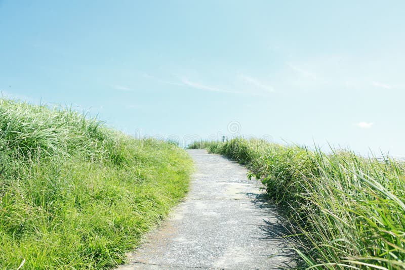 Footpath stock image. Image of walkway, nature, single - 23212829