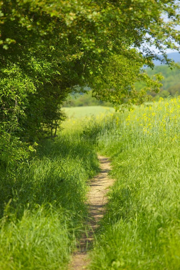Footpath stock photo. Image of germany, frsh, garden - 26102538