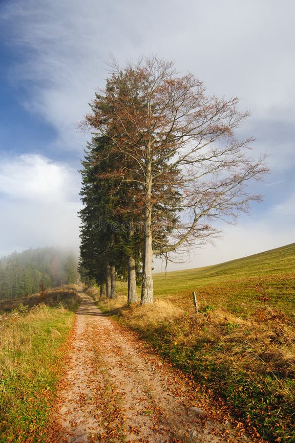 Footpath stock photo. Image of footway, footpath, outdoor - 27913622